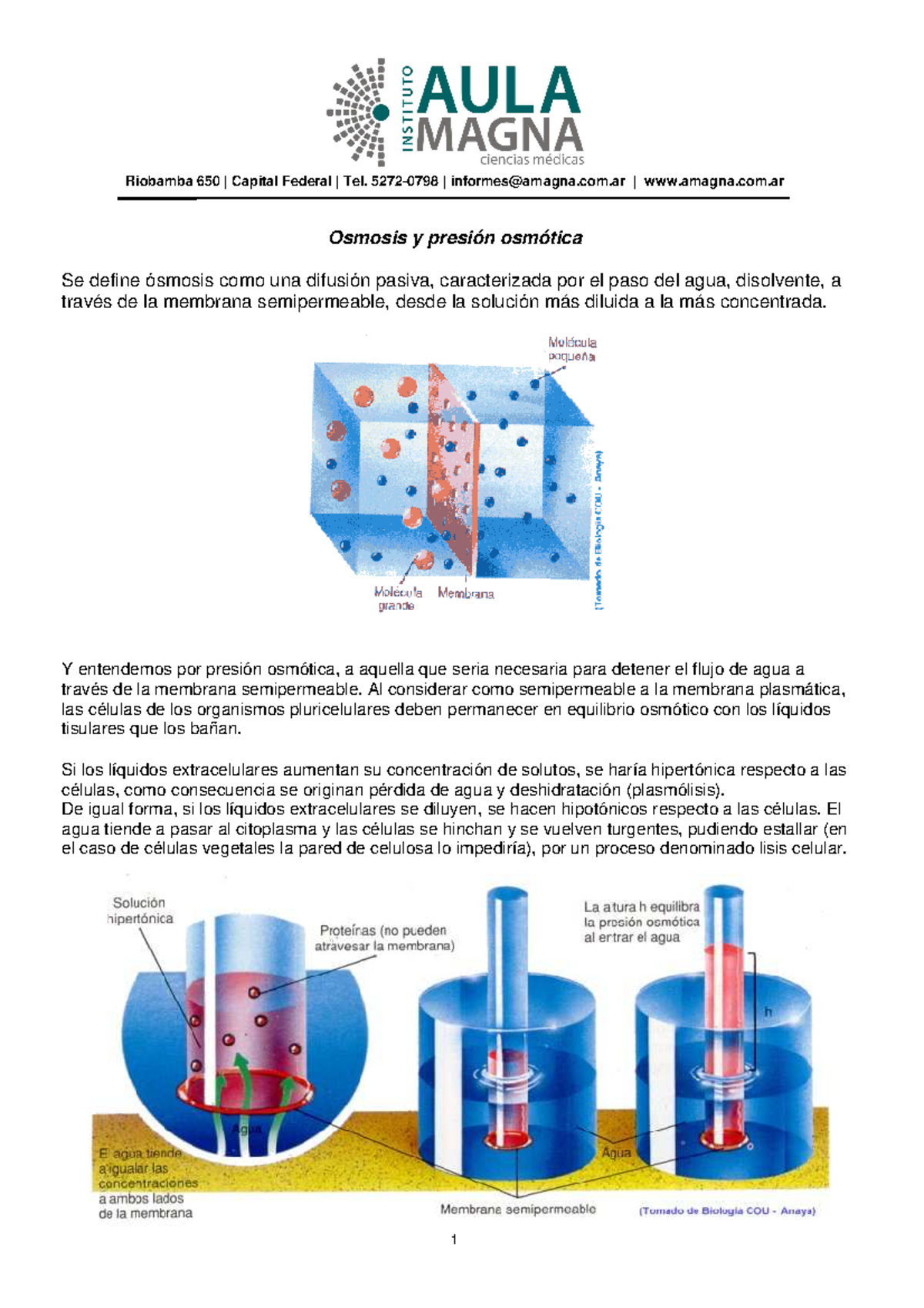 Biofísica - Ósmosis y Presión Osmótica (primer parcial) - Riobamba 650 ...