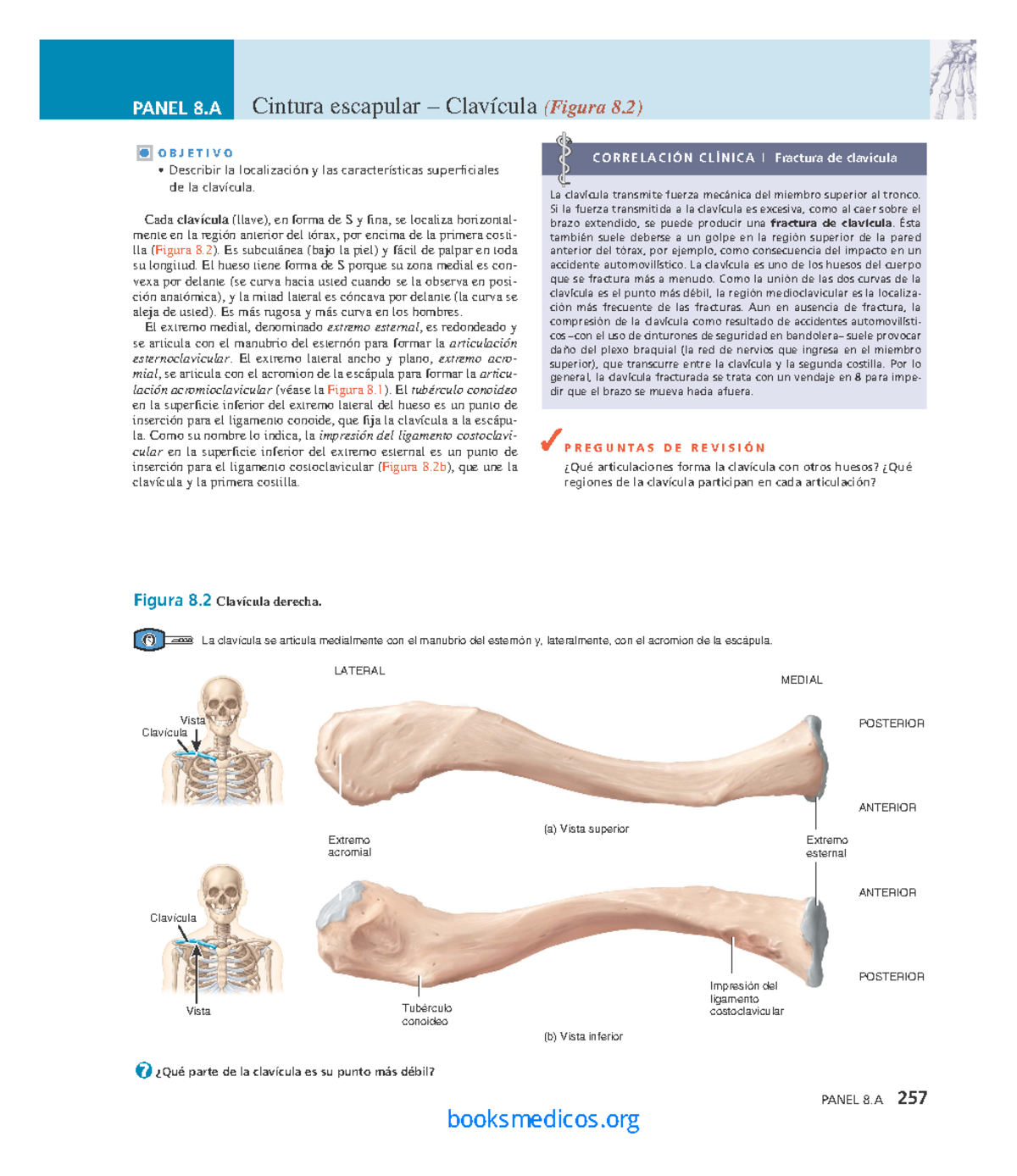 Principios de Anatomia y Fisiologia Tortora Derrickson 13a Ed ...
