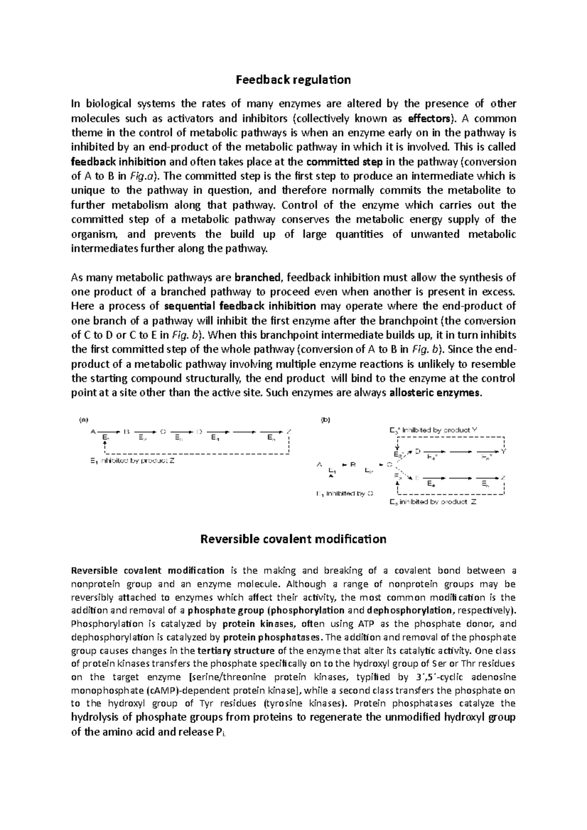 Enzyme regulation notes - Feedback regulation In biological systems the ...