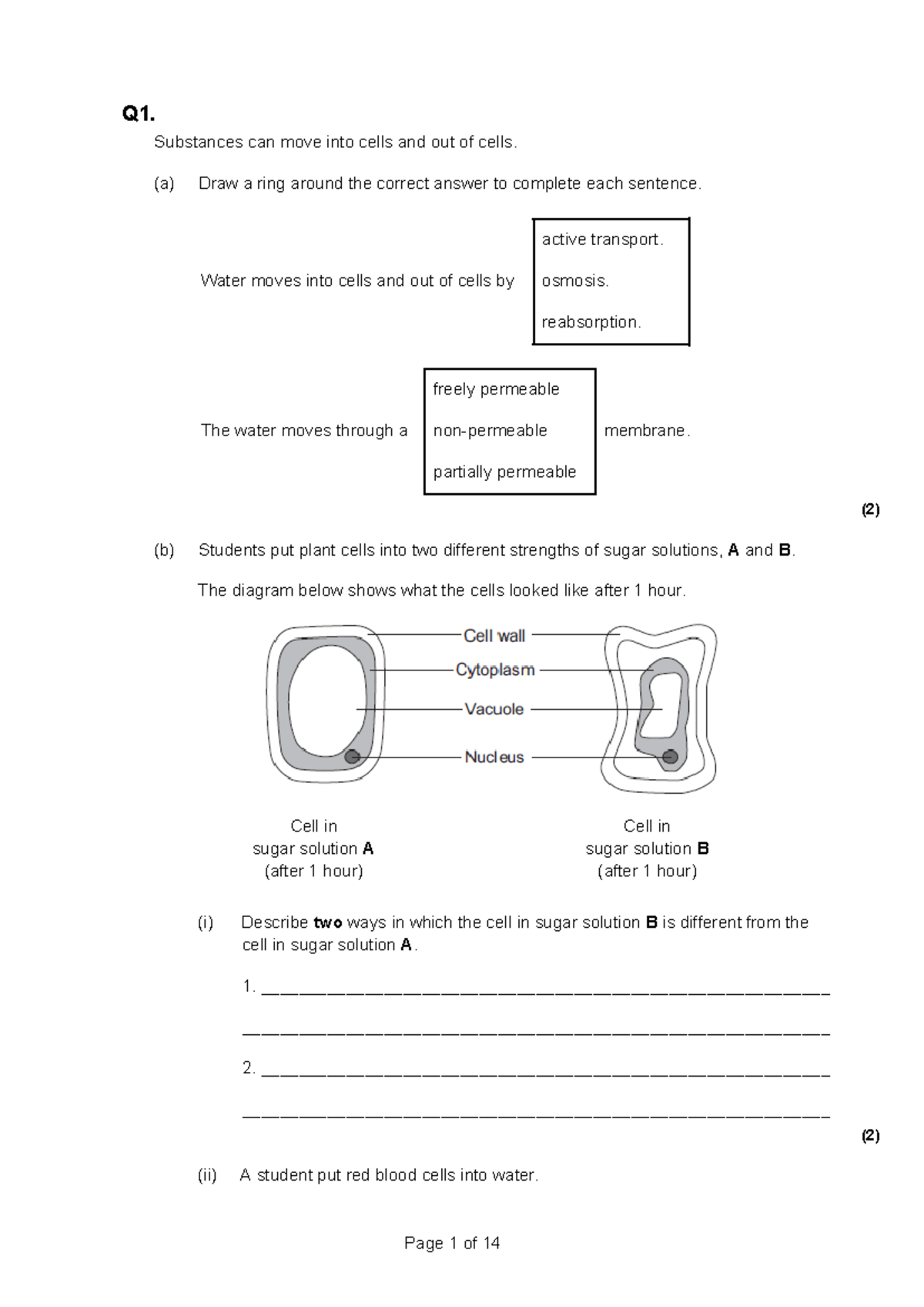 Paper 1 Exam Qs - Test question - Q1. Substances can move into cells ...