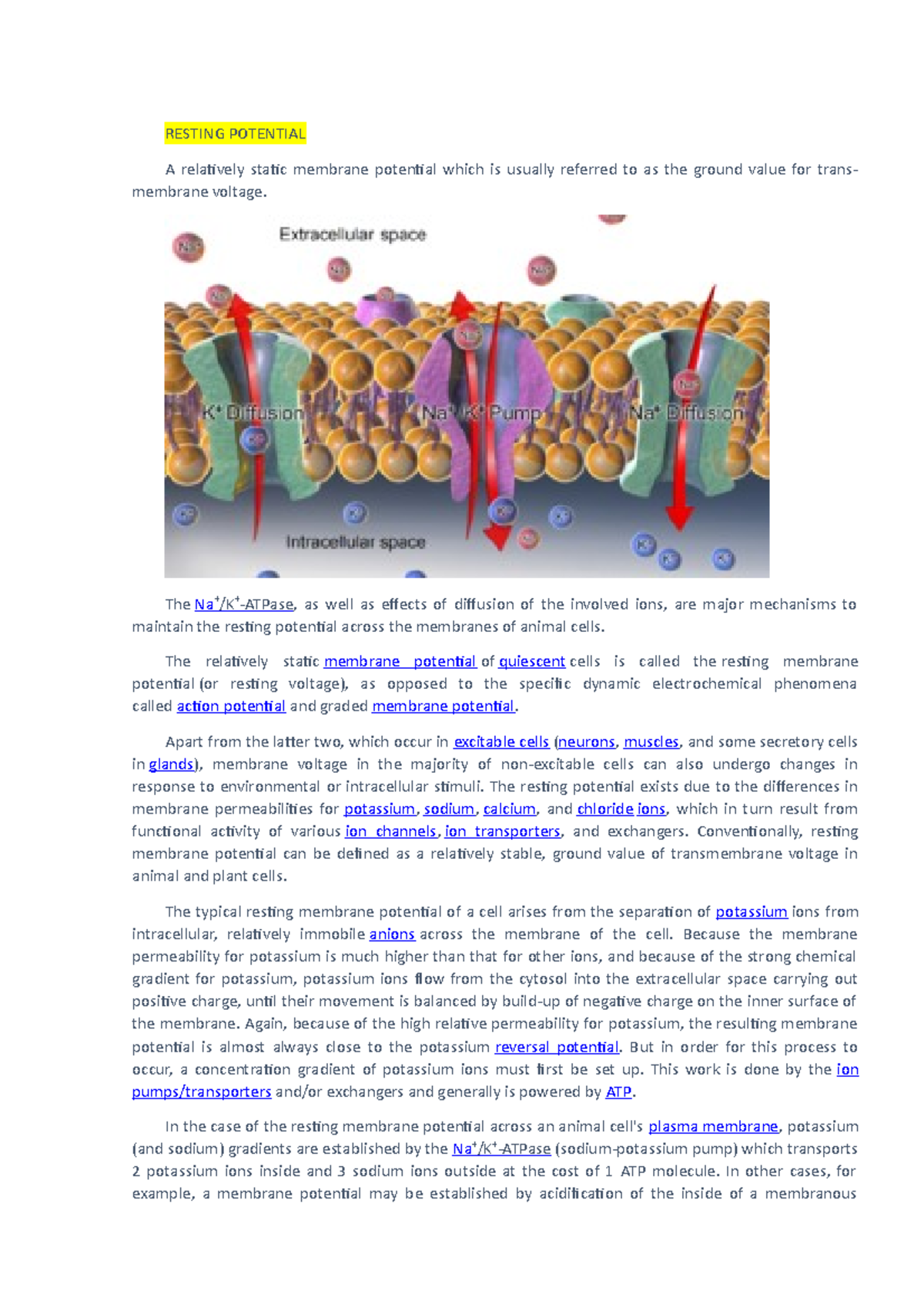 Exitable tissues PS 2 - RESTING POTENTIAL A relatively static membrane ...