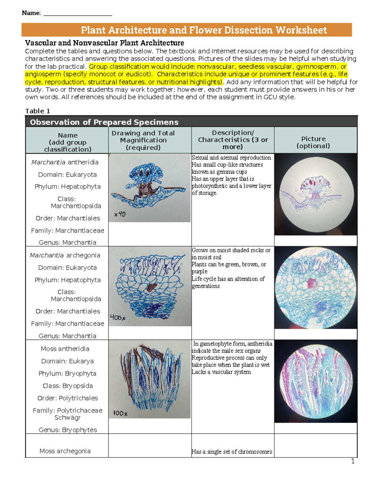 Week 4 Lab Worksheet Plant Anatomy - Plant Architecture and Flower ...