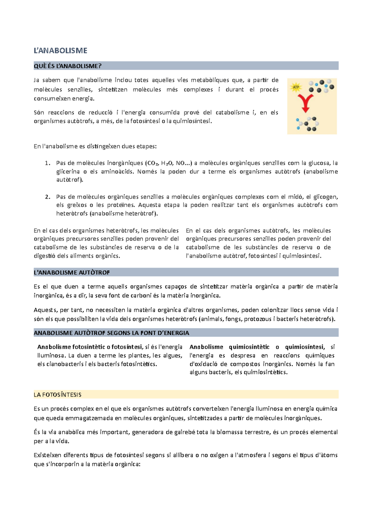 Anabolisme apunts metabolisme - L’ANABOLISME QUÈ ÉS L’ANABOLISME? Ja ...