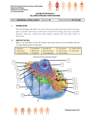 CH10 Endocrine System ( Transes) - Chapter 10: Endocrine System CLASSES ...