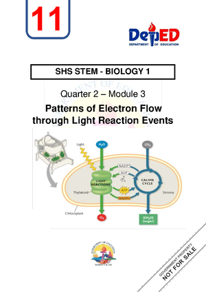 Sfa worksheet - XCV - What’s More? Task 4: Creating “My Activity ...