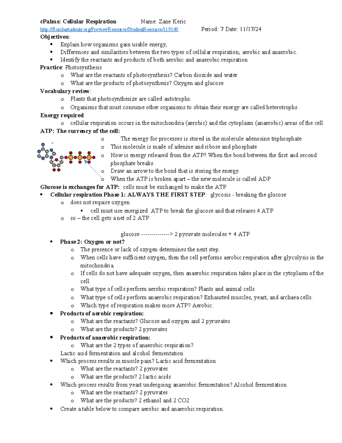 C Palms Respiration - Cplams - cPalms: Cellular Respiration Name: Zane ...