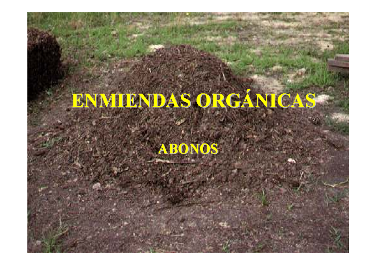 Presentacion enmiendas organicas - - Studocu