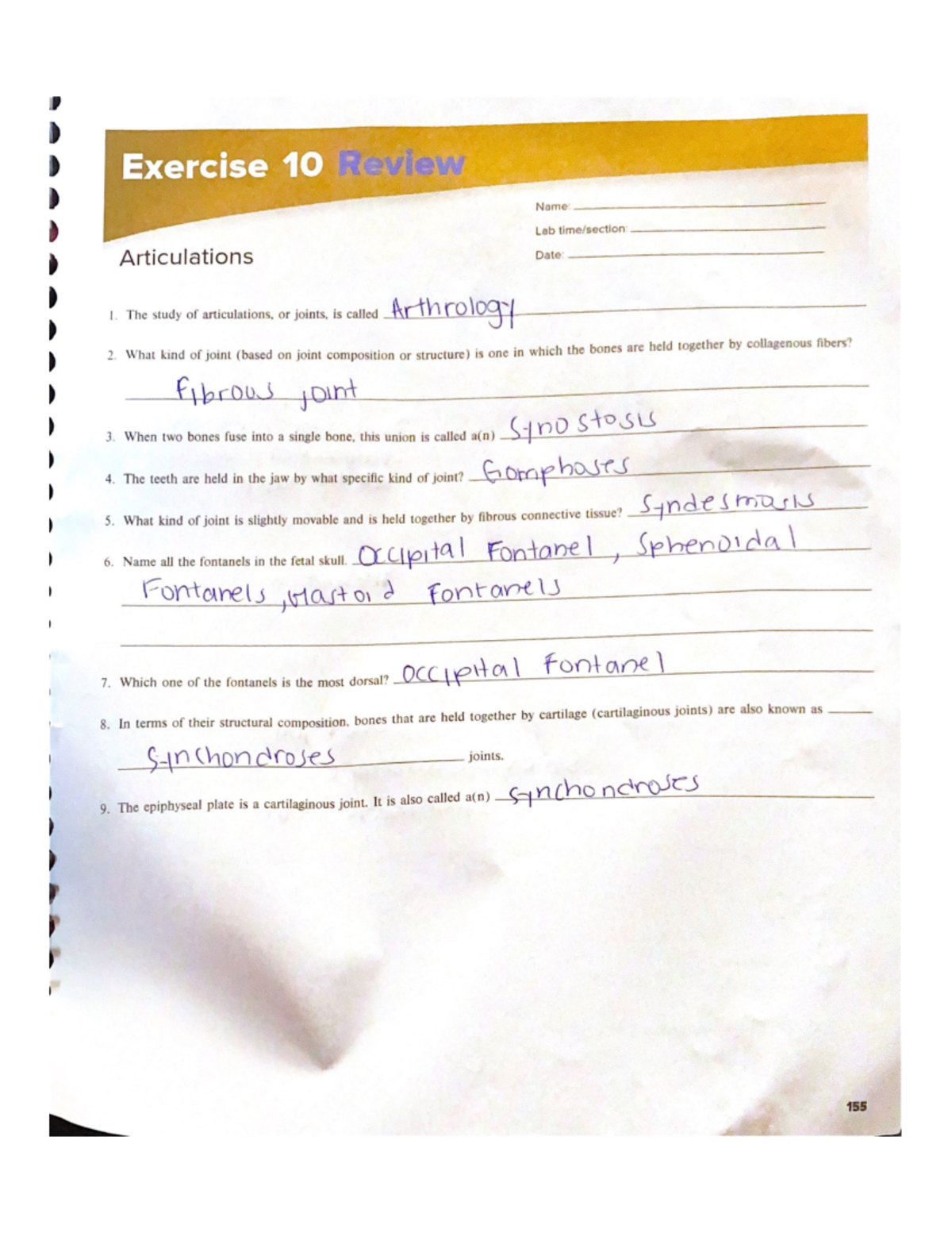 Exercise 10 Review - 260 - Studocu