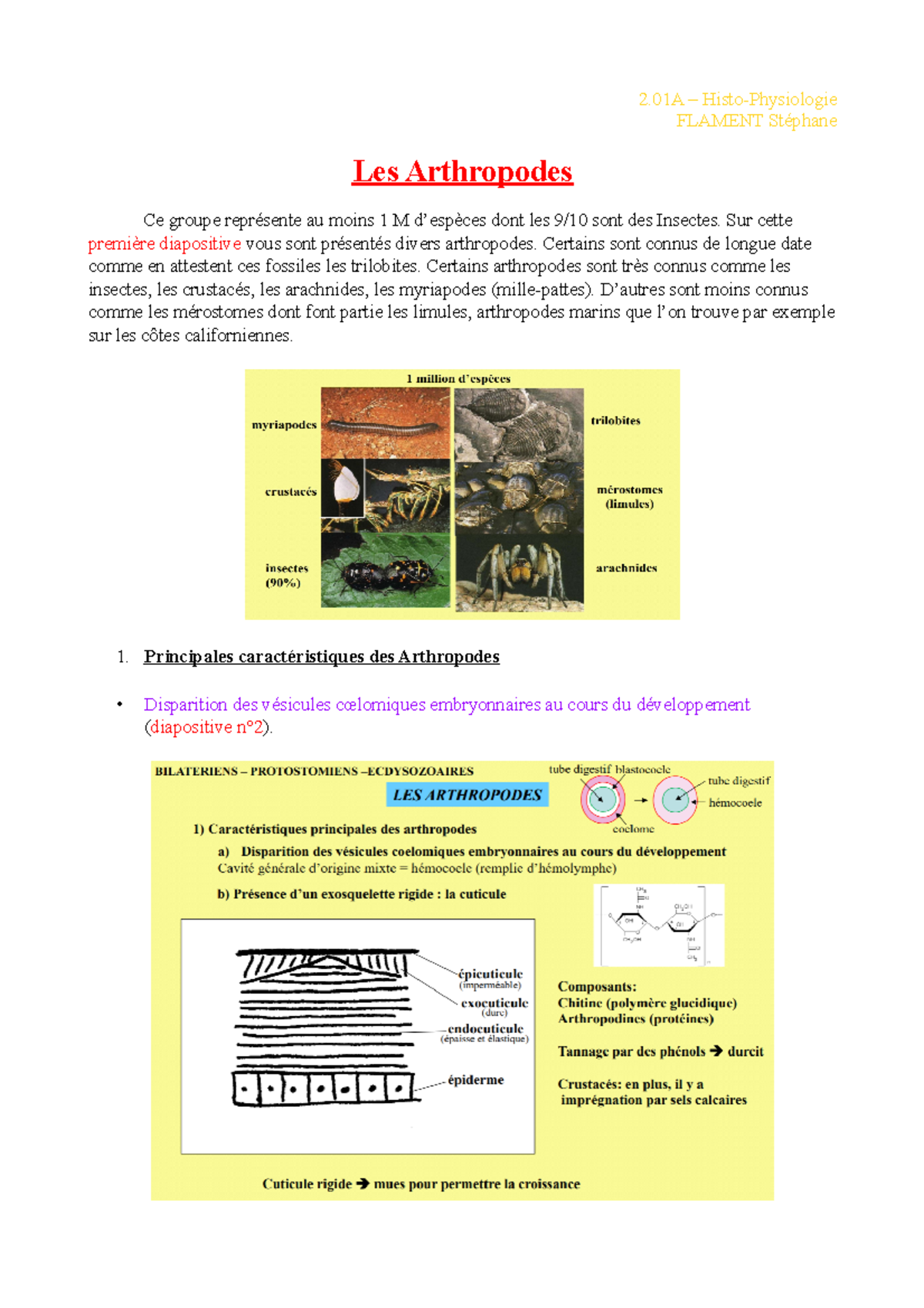 Zoo Cours 2 - arthropodes - 2 – Histo-Physiologie FLAMENT Stéphane Les ...