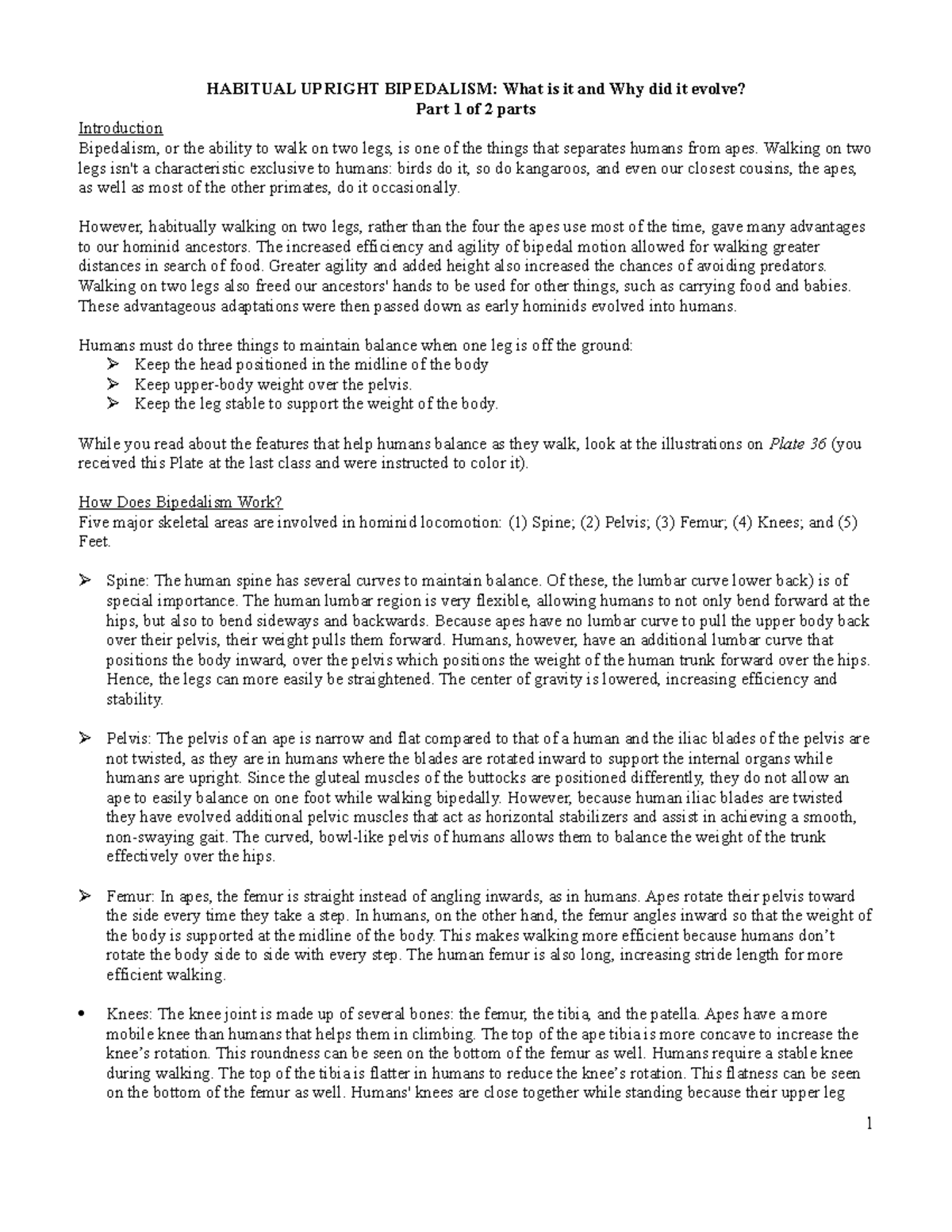 what and why bipedalism - HABITUAL UPRIGHT BIPEDALISM: What is it and ...