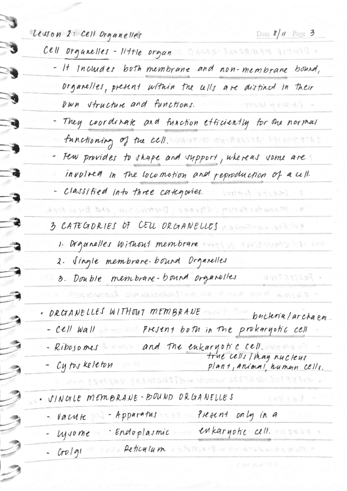 The Cell Organelles (Biology) - Biology - Studocu