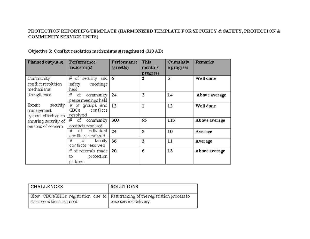 Updated Protection Reporting Template - PROTECTION REPORTING TEMPLATE ...