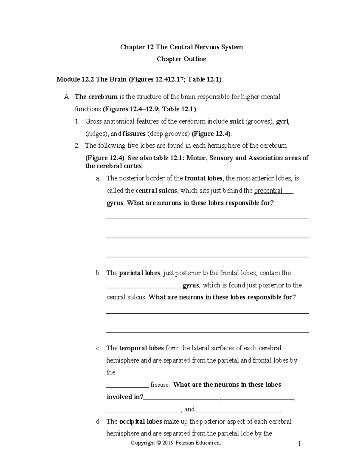 Chp 12 part 2 student lecture outline - Copyright © 2019 Pearson ...