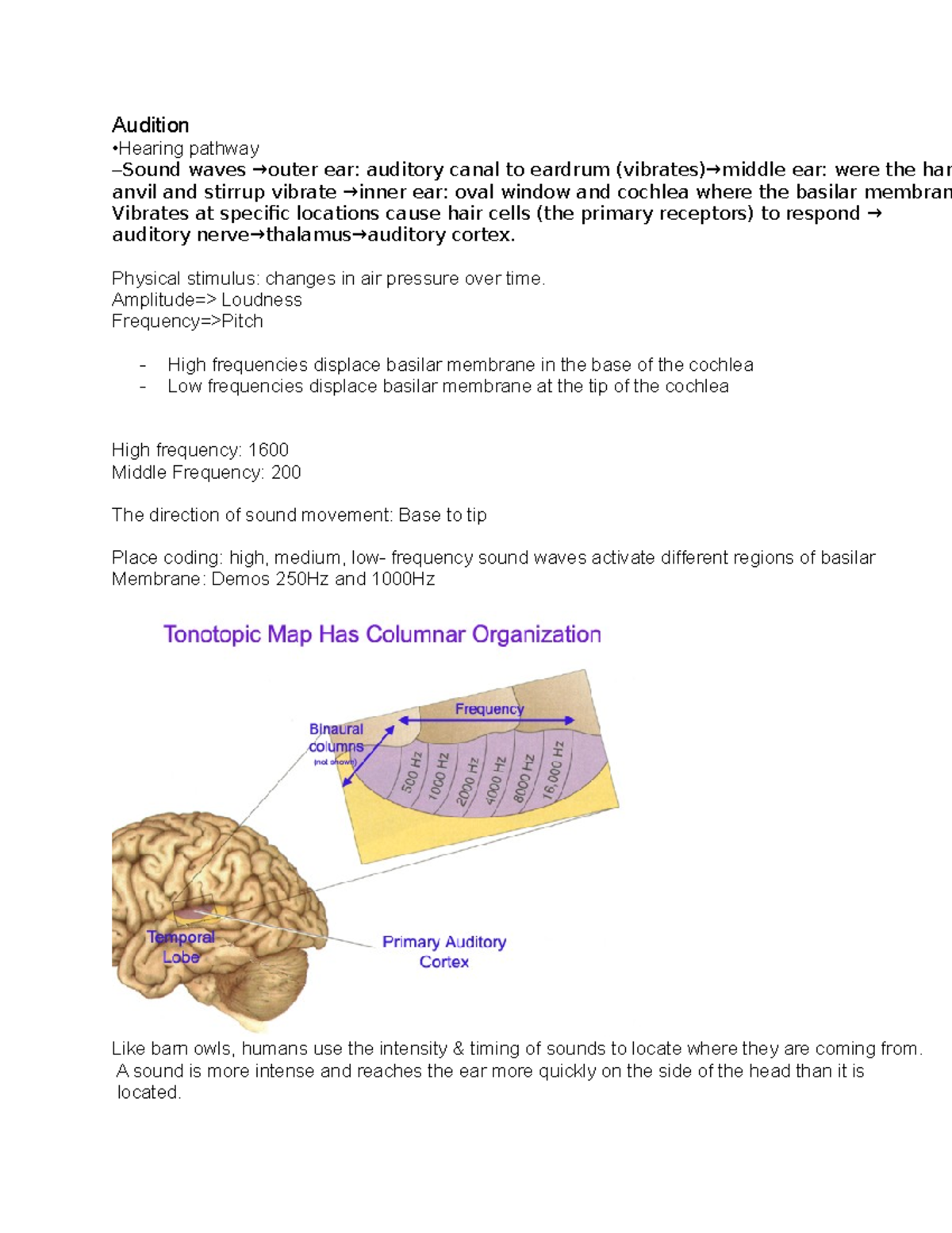 Session 9 - Lecture notes for PSY 201 Professor Margaret Sereno's class ...