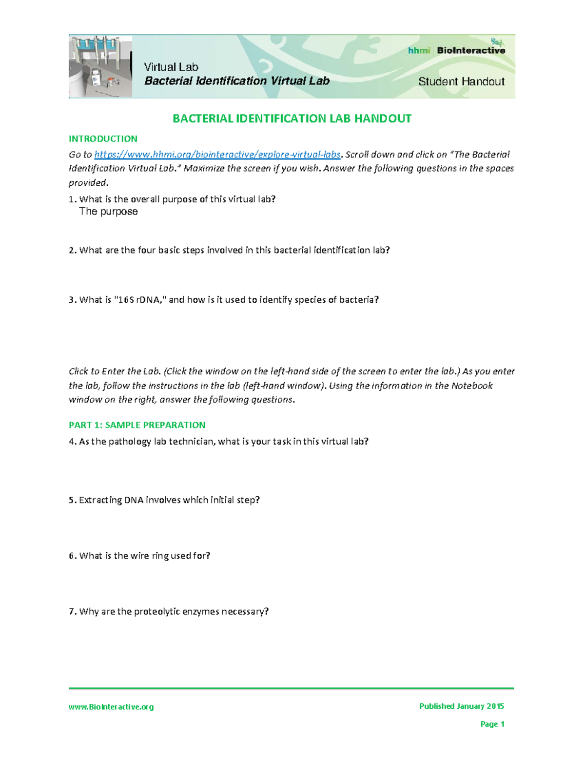Bacterial Identification Lab Worksheet Student - BioInteractive ...