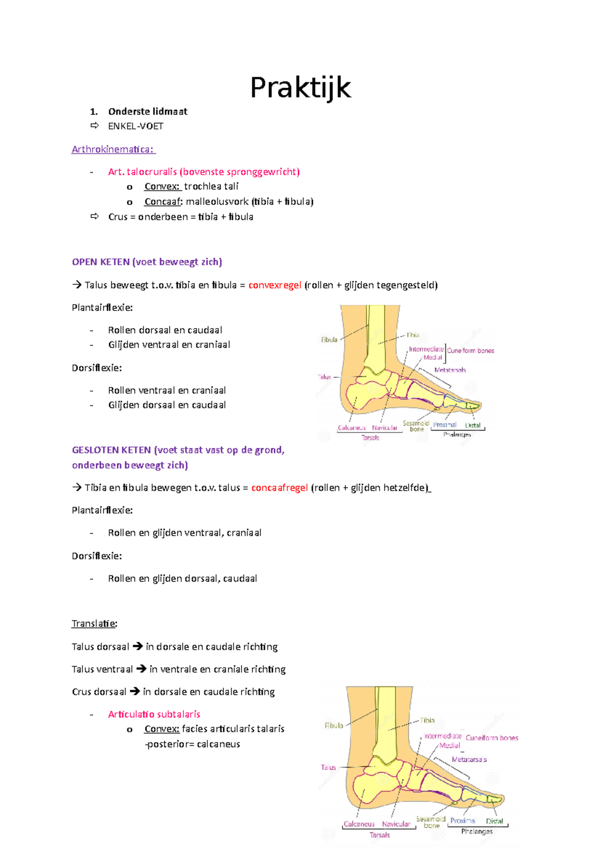 Praktijk enkel-voet arthrokinematica en structuuranalyse - Praktijk 1 ...