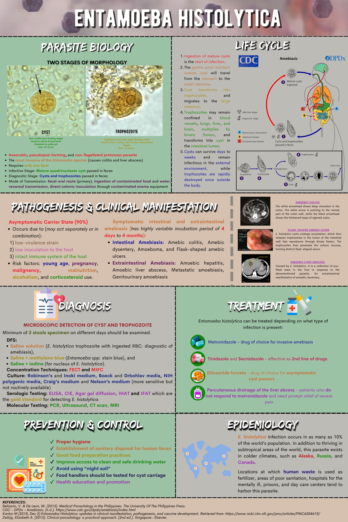 Group A Entamoeba Histolytica - entamoeba histolytica entamoeba ...