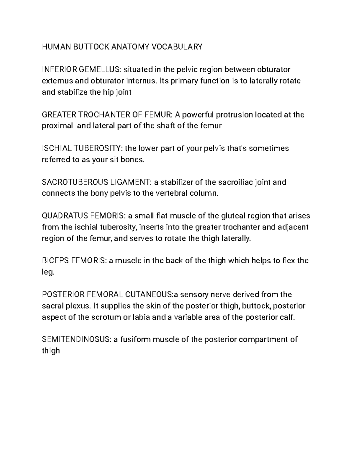 Human Buttock Anatomy Vocabulary - HUMAN BUTTOCK ANATOMY VOCABULARY ...