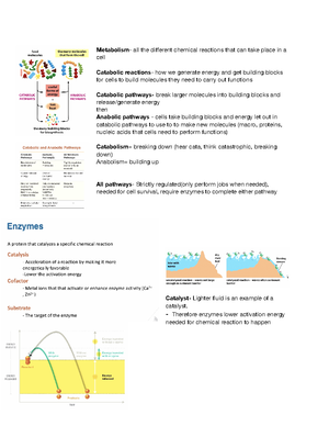 Module 1 Micro - What is Microbiology? As the name suggests, it is the ...