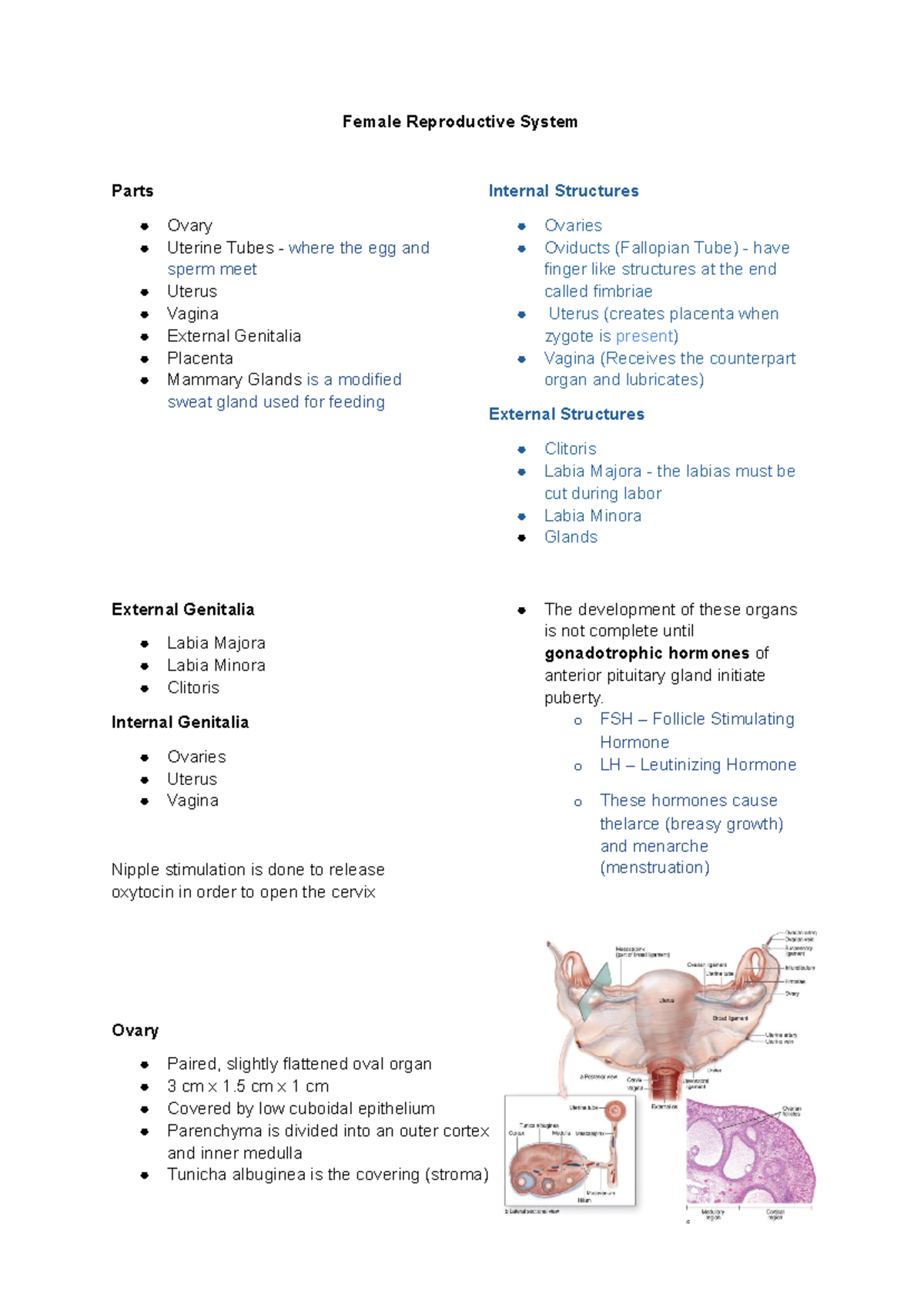 reproductive fsfa - Female Reproductive System Parts Ovary Uterine ...