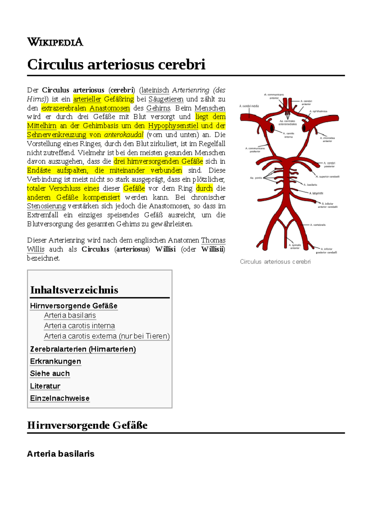 Circulus arteriosus cerebri - eine kurze Zusammenfassung - Circulus ...