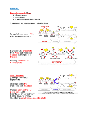 W Rules LJ Charts to analyse-2020 - LJ Charts – Analysis using Westgard ...