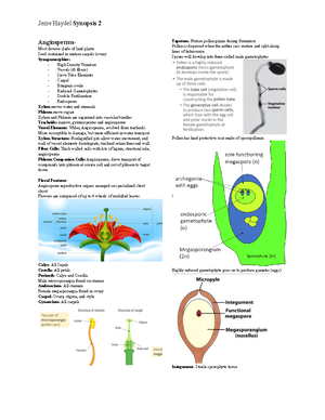 Synopsis 5 fabids and malvids - Julian Wall Fabids Malpighiales: morph ...