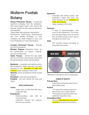 PBOT111 LEC - Lecture - Plant Structure and Function (Roots) Are Cylindrical structures which ...