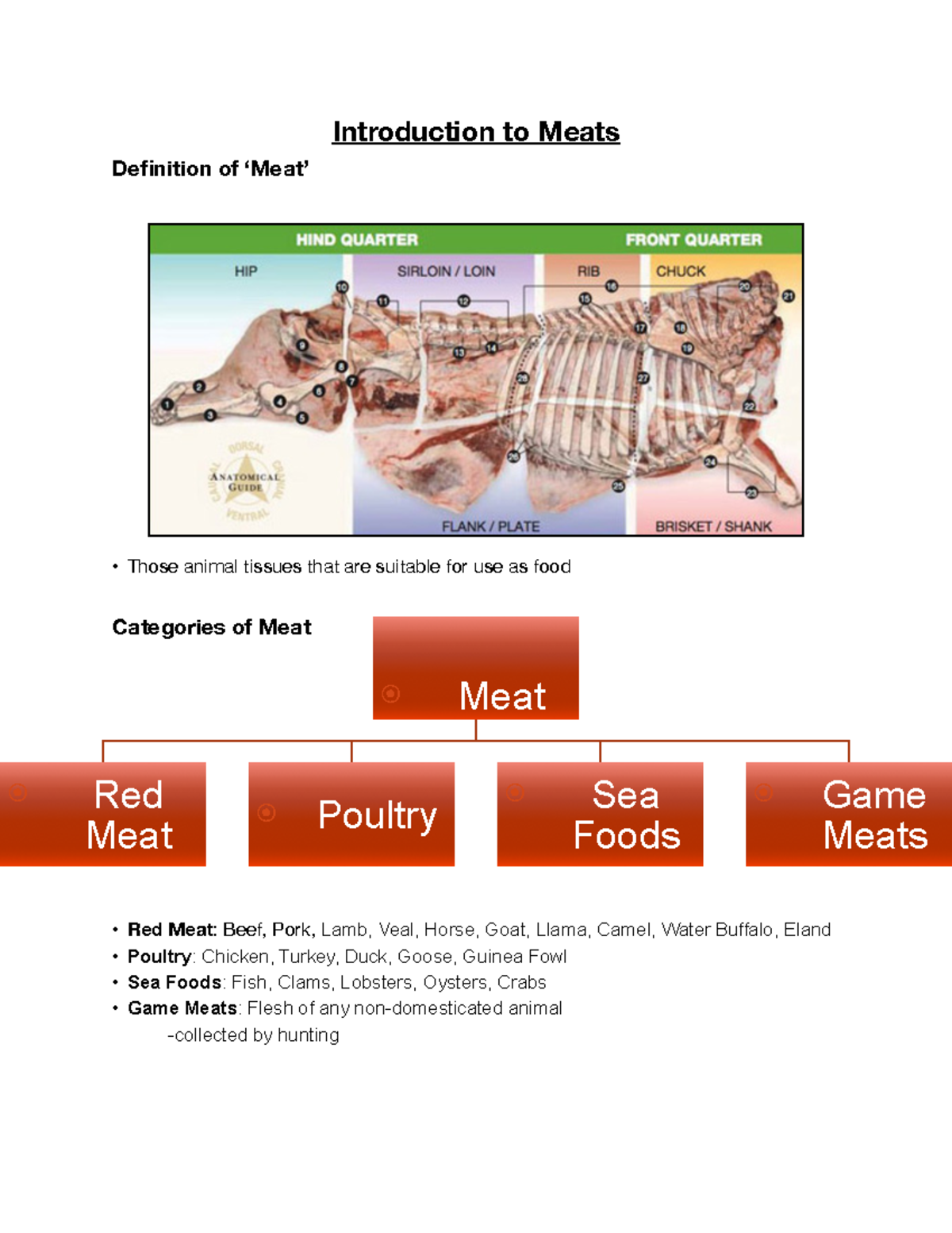 Introduction to Meat - Lecture Notes from Slides w/Professor Vogel ...