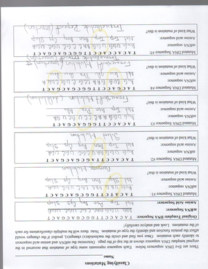 Sickle Cell Packet - Worksheet - BIO 201 - Studocu