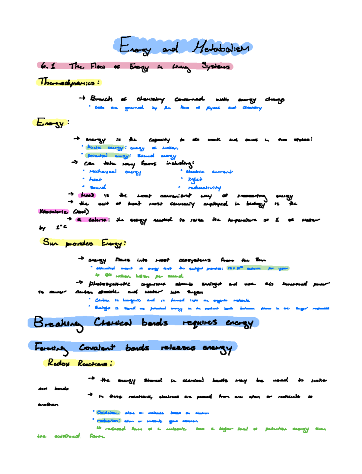 Biology 198 Chapter 6 Notes - BIO 198 - Studocu