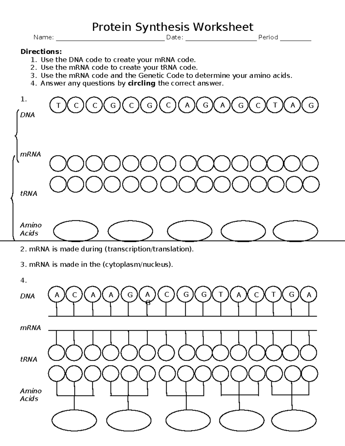 Visual Protein Synthesis Worksheet-GOOD - Protein Synthesis Worksheet ...
