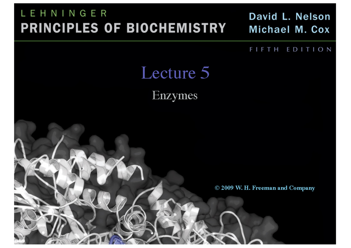 Lecture 5 - biochemistry - Lecture 5 ####### Enzymes © 2009 W. H ...