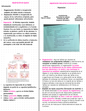 Generalidades de Inflamación - INFLAMACIÓN Etapas de esta asociadas mas ...