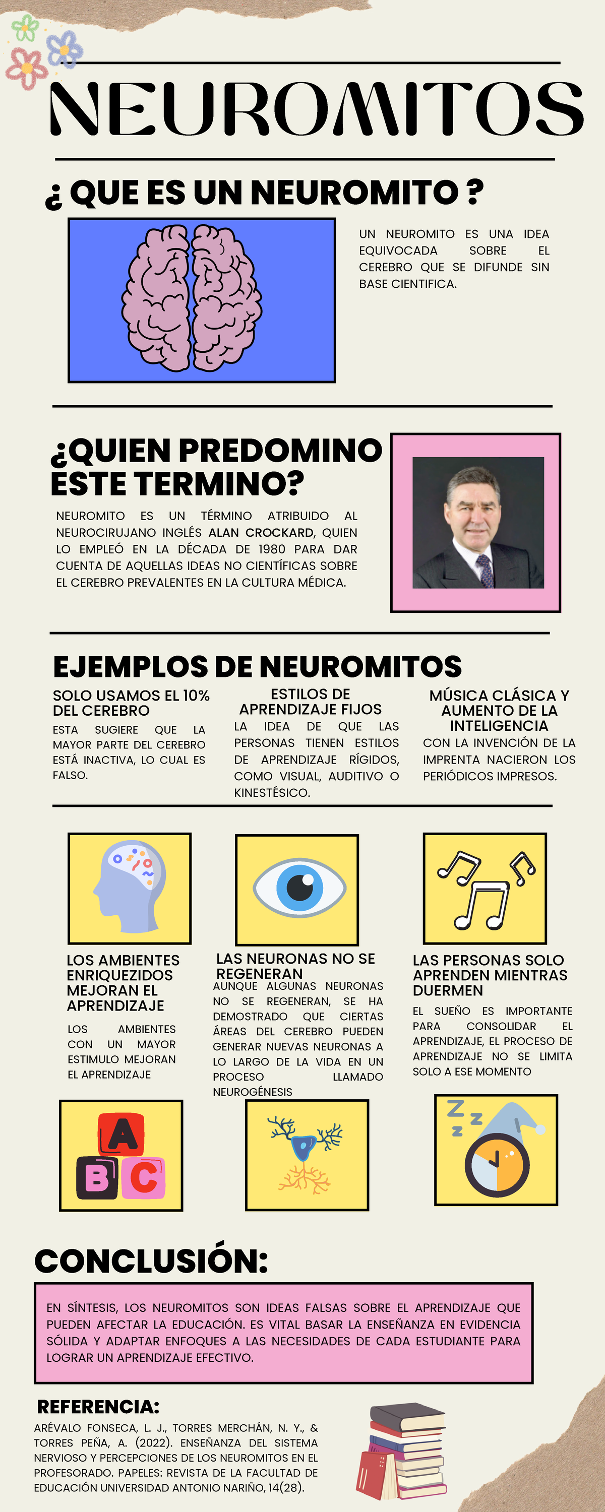 Infografia Neuromitos - LAS NEURONAS NO SE REGENERAN AUNQUE ALGUNAS ...
