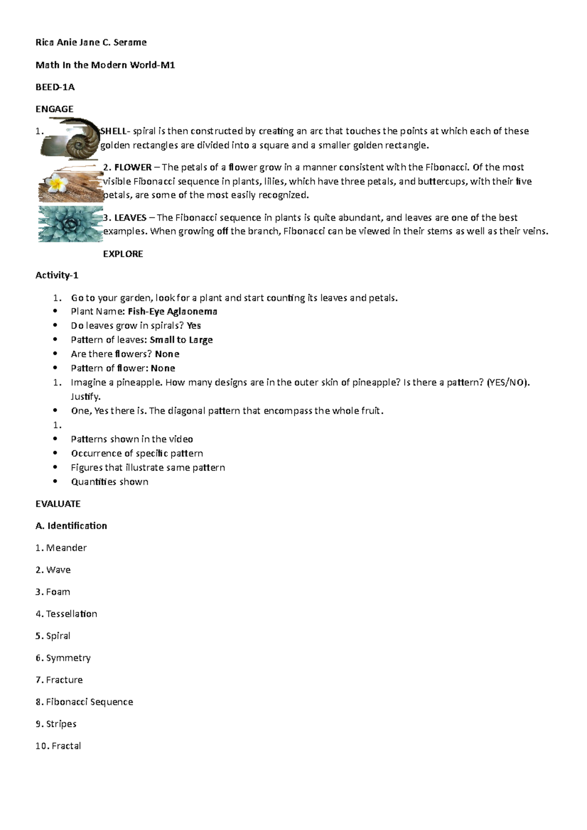 M1-MMW - you can use it as a basis in answering your assignments and ...