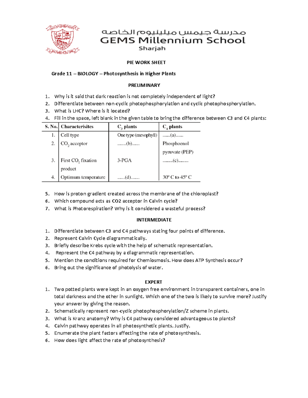 WORK Sheet Photosynthesis 2023 - PIE WORK SHEET Grade 11 – BIOLOGY ...