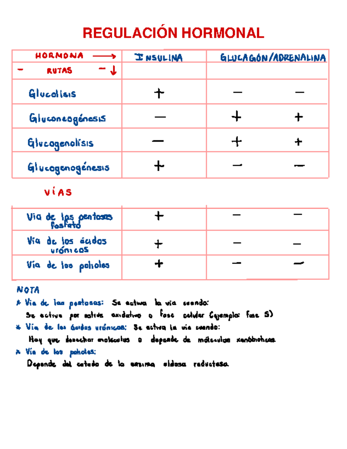 RH - Mapa - REGULACIÓN HORMONAL HORMONA > INSULINA RUTAS ↓ ####### Gluconeogénesis t - I - Studocu