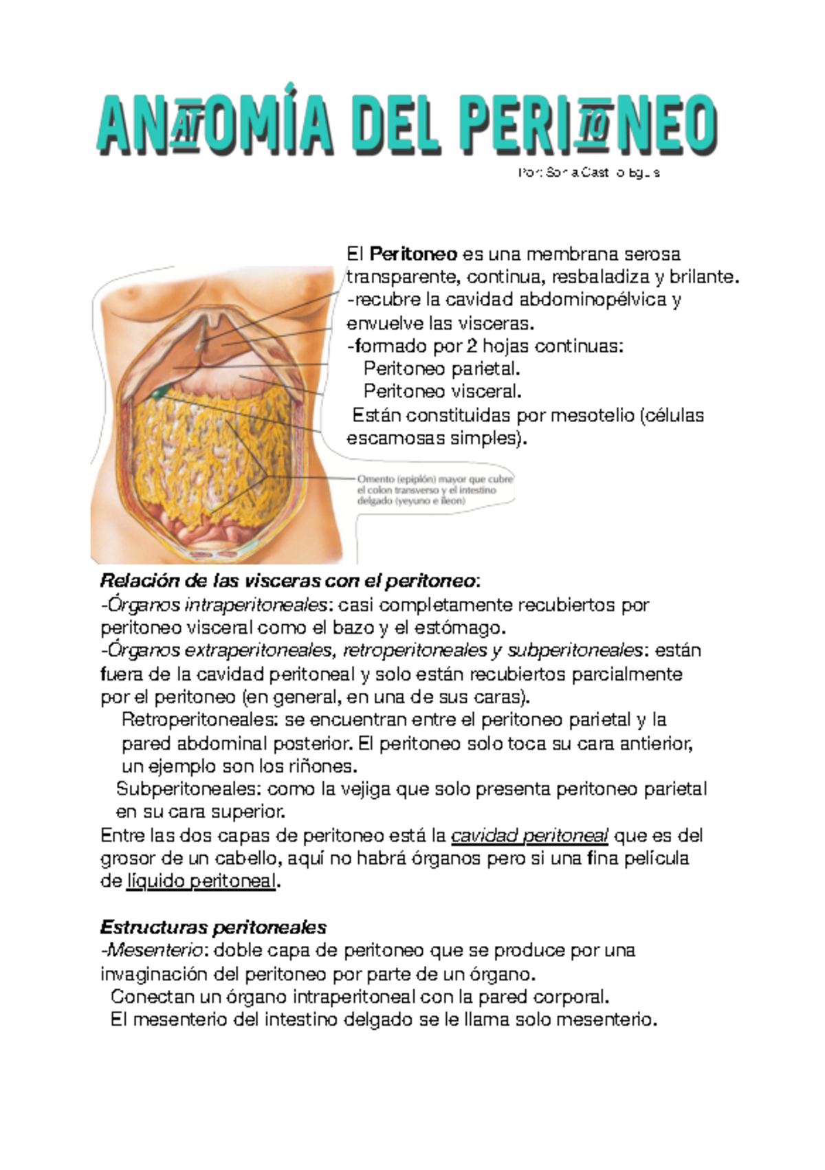 5. Anatomía de Peritoneo - Relación de las visceras con el peritoneo ...