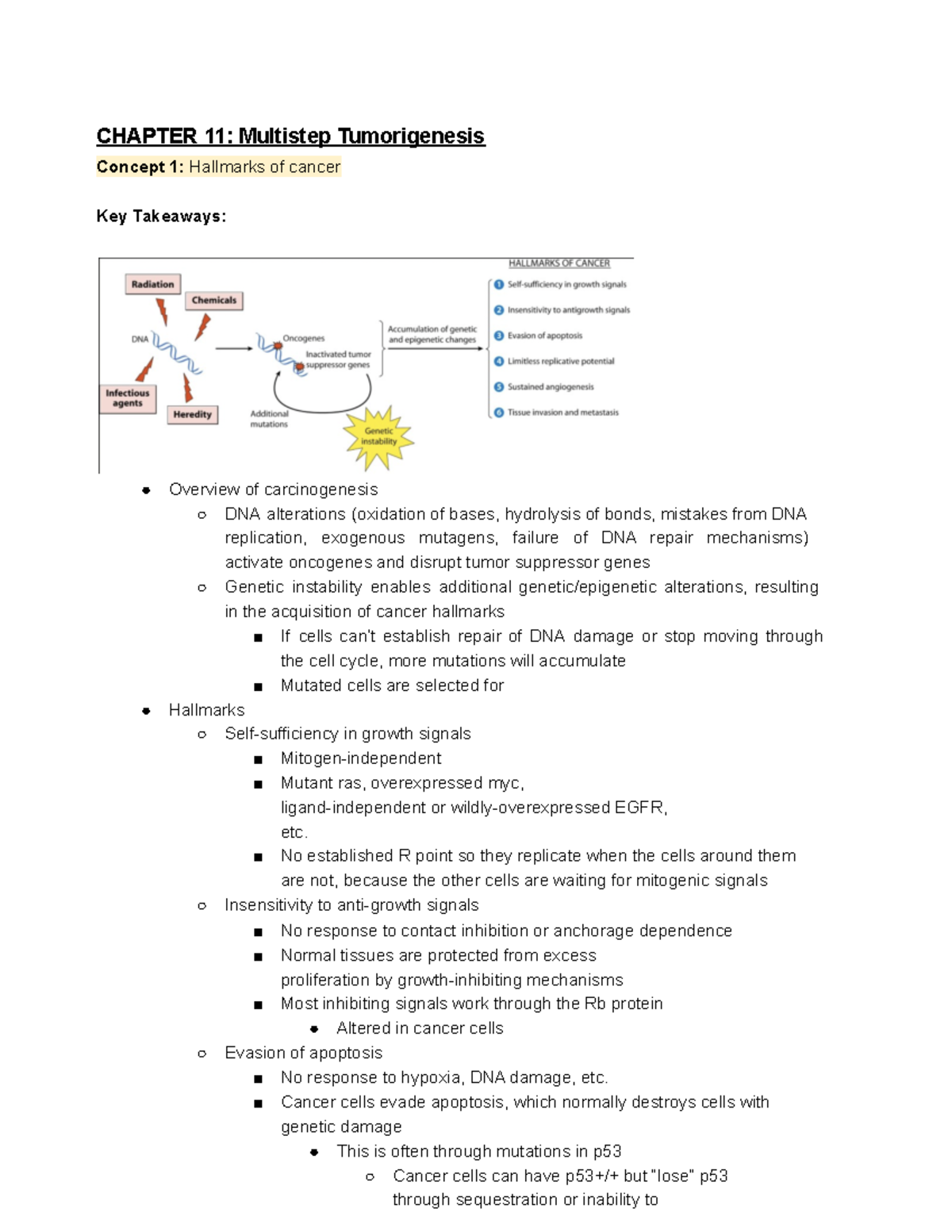 Ch 11 Tumor Progression - CHAPTER 11: Multistep Tumorigenesis Concept 1 ...