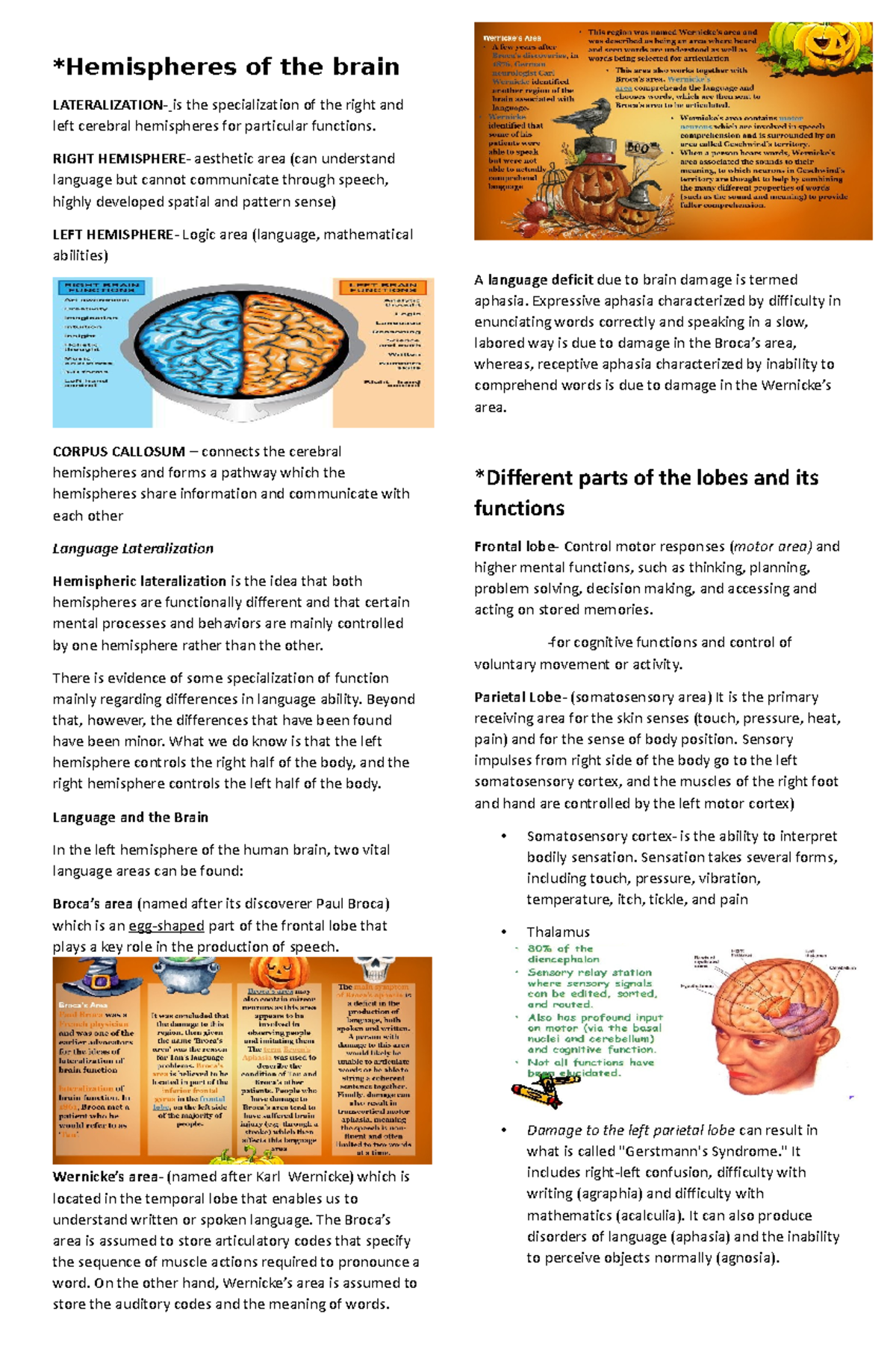Hemispheres Brain Factors Perception 20topics - *Hemispheres of the ...