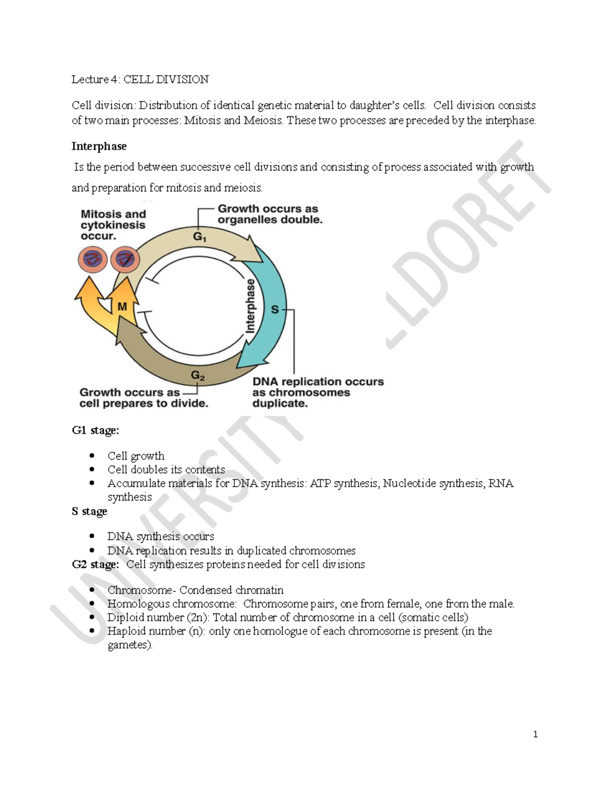 Lecture 4 - NOTES - Lecture 4: CELL DIVISION Cell division ...
