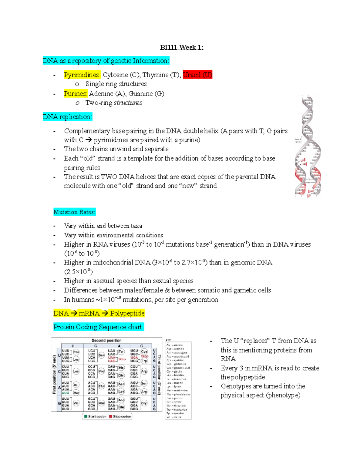 BI111 Week 1 - Changes the codon changes one single amino acid in the ...