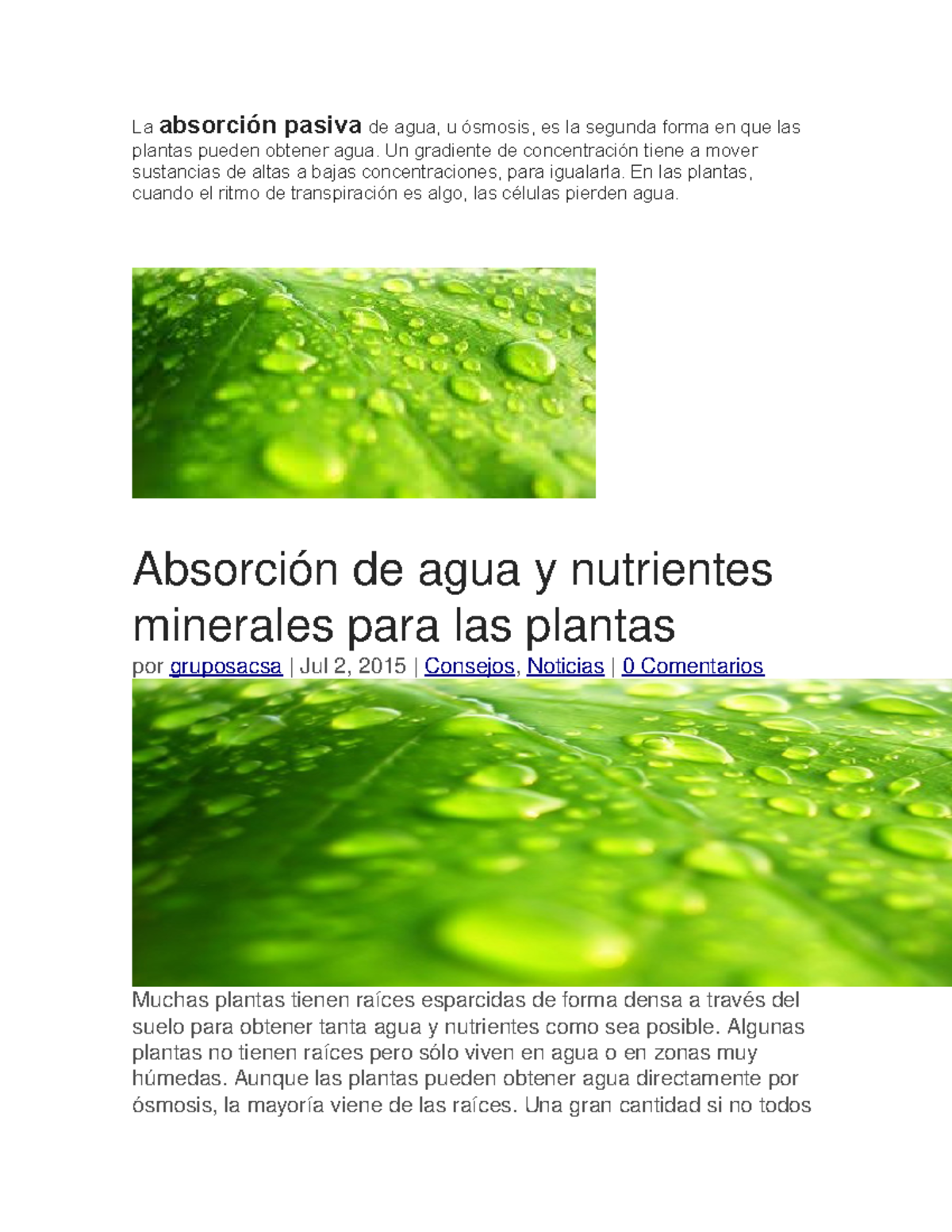 La absorción pasiva - La absorción pasiva de agua, u ósmosis, es la ...