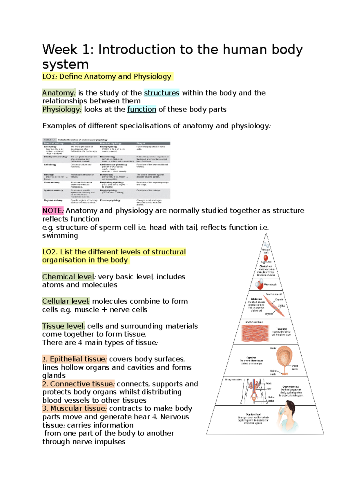 1. Intro to human body systems HBA - Week 1: Introduction to the human ...