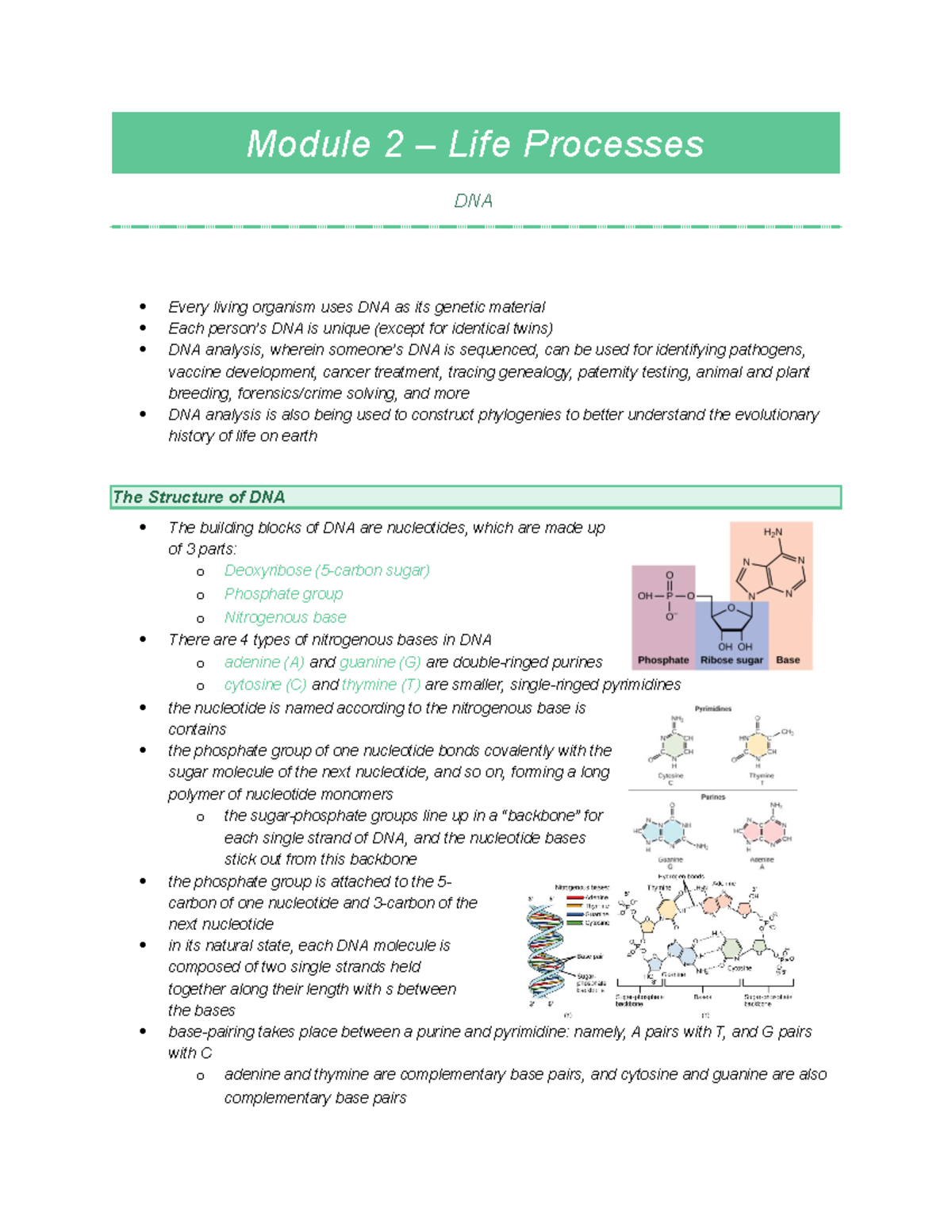 Basic Biology - DNA - Module 2 – Life Processes DNA Every living ...
