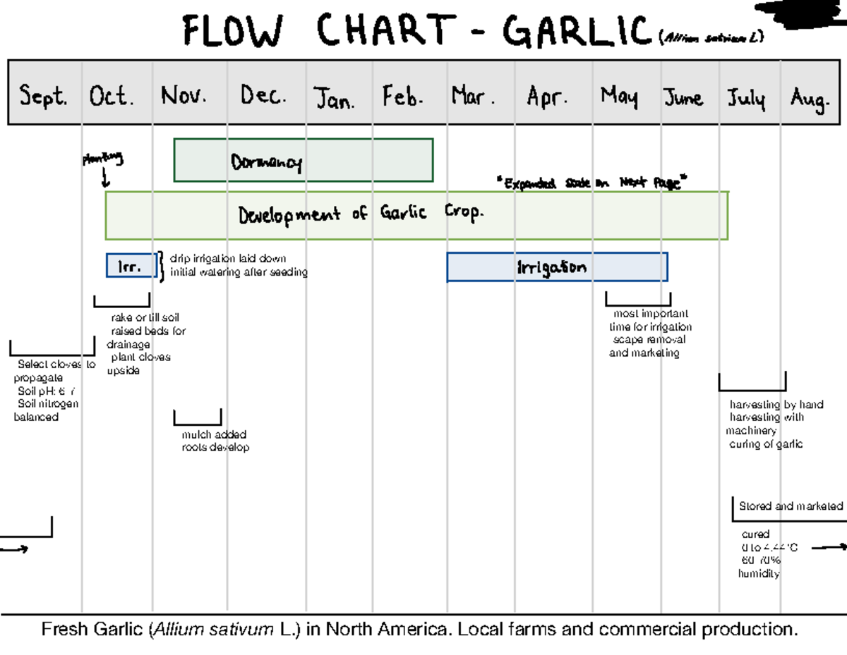 AGR - crop flow chart for garlic -Select cloves to propagate -Soil pH ...