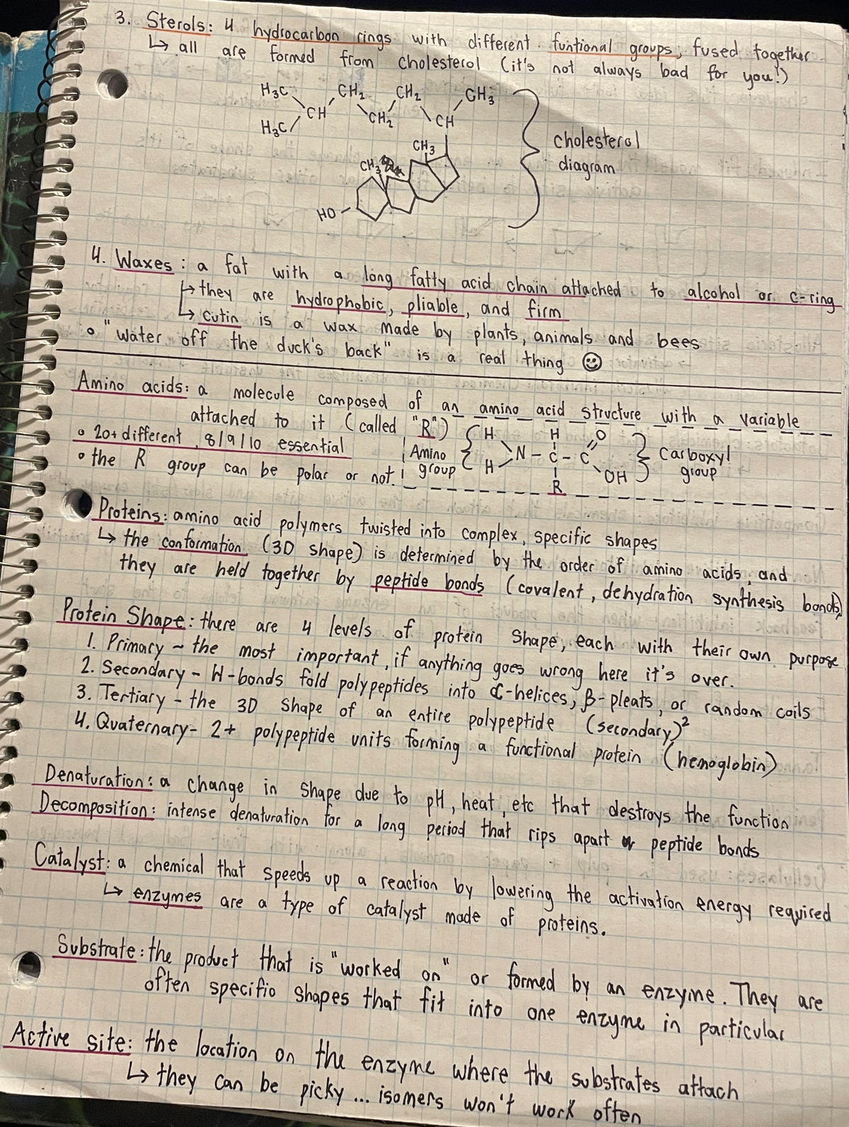 Lipids note part 2 SBI4U - Studocu
