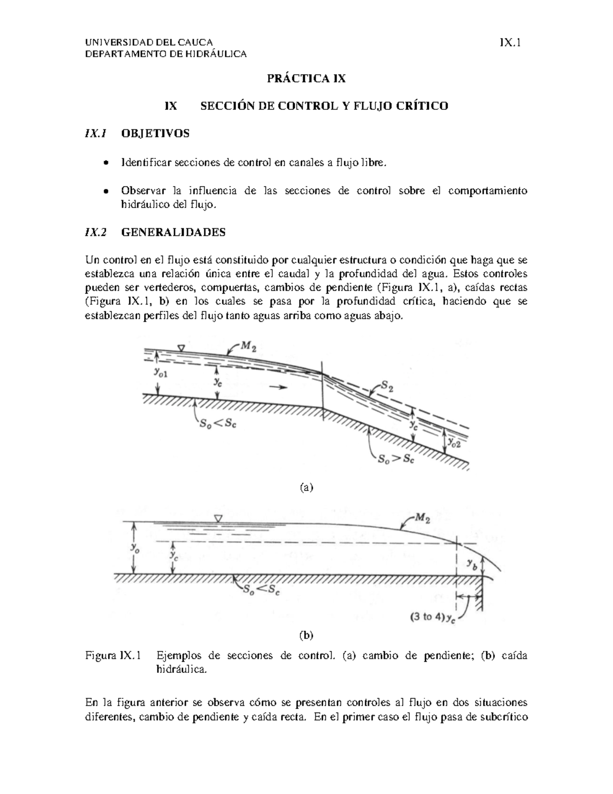 Flujo Crítico - Guia actualizada - IX UNIVERSIDAD DEL CAUCA ...