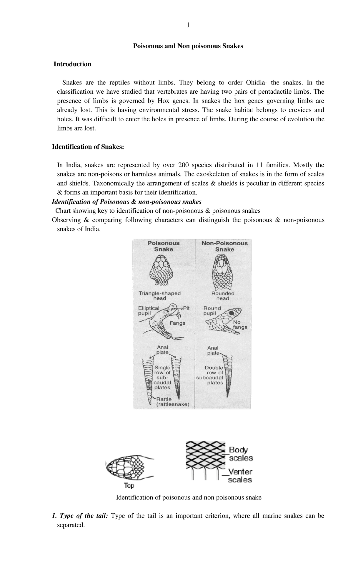 Poisonous, Non Poisonous Snakes Edit - Poisonous and Non poisonous ...